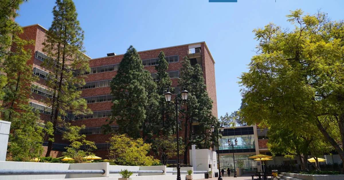 UCLA’s Alpha Clinic and the CTSI are dedicated to stem cell research and strive to support CIRM ...