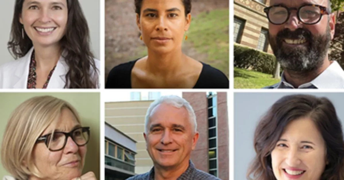 Six professors receive UCLA public impact research awards | Clinical ...