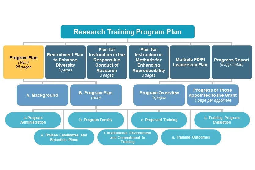Program Plan (Main) | Clinical and Translational Science Institute