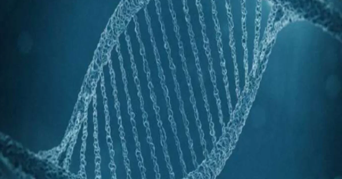 Precision medicine meets neurology at the clinical neurogenomics ...